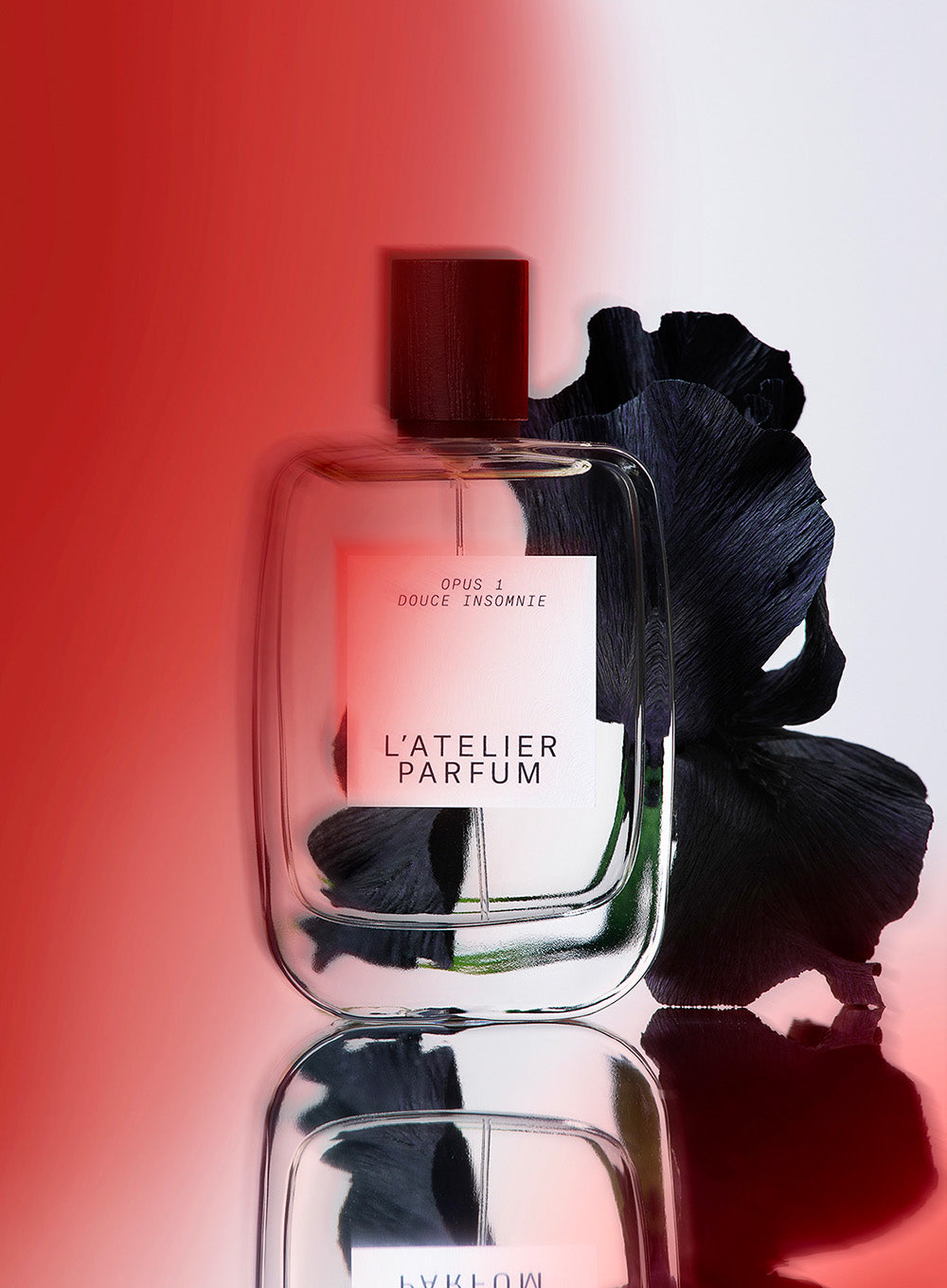 Douce Insomnie Perfume | Café & Santal | L'Atelier Parfum – L'Atelier ...
